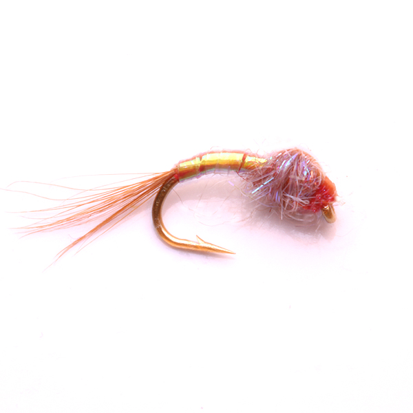 Rainbow Warrior | Ask About Fly Fishing